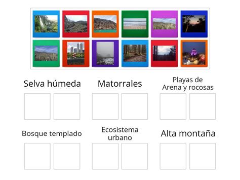 Tipos De Ecosistemas Ordenar Por Grupo