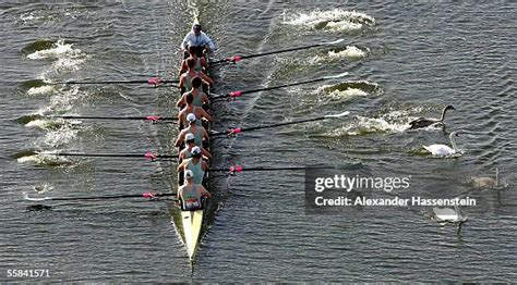 Thomas Engelmann Photos And Premium High Res Pictures Getty Images