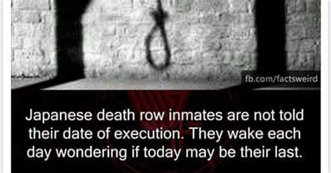 The Perfect Comment Imgur