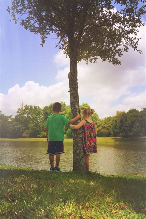 Incredible IPhone Photos Of Trees And Forest