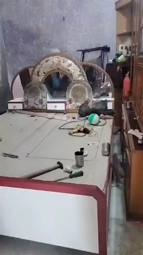 Batra Plywood Mall Batraplywoodmall • Instagram Photos And Videos