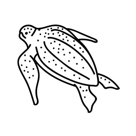Leatherback Turtle Vector Art Icons And Graphics For Free Download