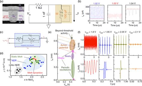 Memristor With Local Activity A Structure Of Nbo X Memristor With