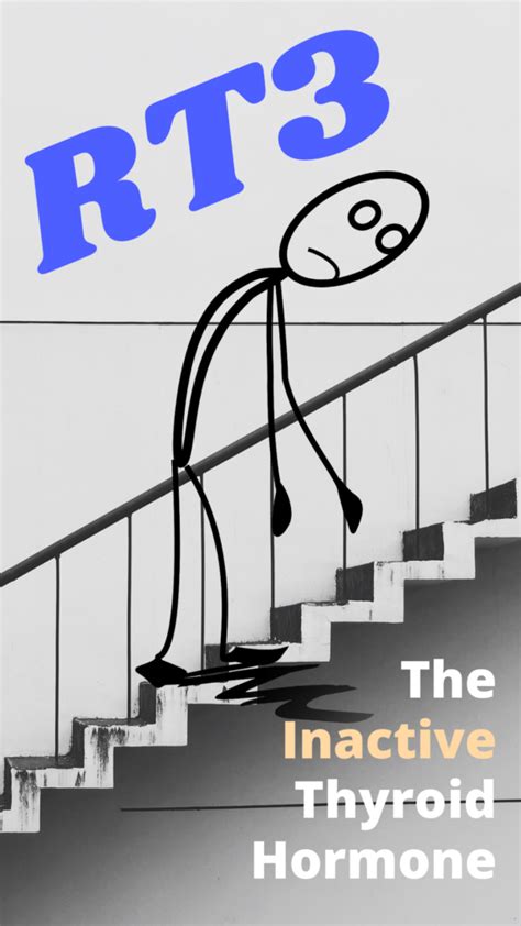 Elevated Reverse T3 Excel Male Trt Forum