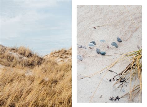 Nemirseta On Behance