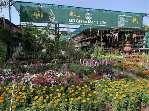 Md Green Mens Life Nurseryshujas Garden Islamabad