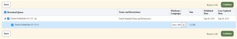 Install Oracle Goldengate 19c On Linux All Dba