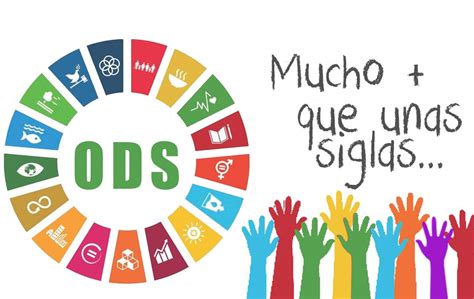 El Papa Francisco Y Los Objetivos De Desarrollo Sostenible De La Onu