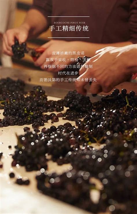 【菲特瓦京东自营品质】法国菲特瓦（fitoroux）传奇系列干红葡萄酒 750ml 整箱 勃艮第aoc原瓶进口红酒送礼礼盒 【夏隆内丘村庄级·米歇尔】750ml 6支礼盒装【行情 报价 价格