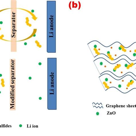 Schematic Diagram Of The Cell Configuration With A Normal Separator