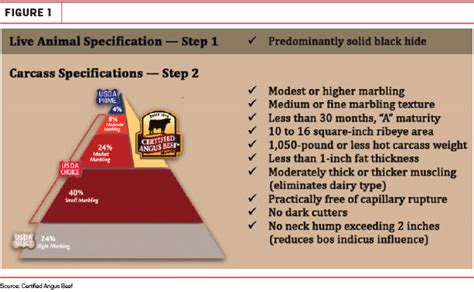 Certified Angus Beef Opts For Usda Grading Modernization Ag Proud