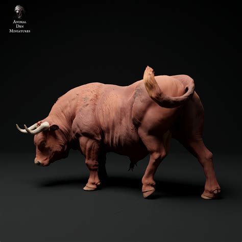 Anml Ks0130 Red Devon Bull Grazing サベージランドミニチュア