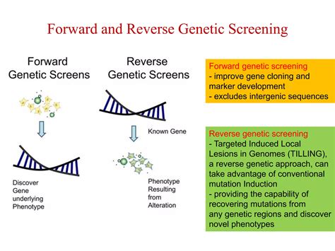 Omics For Crop Improvement New Pdf Biotech And Biomedical
