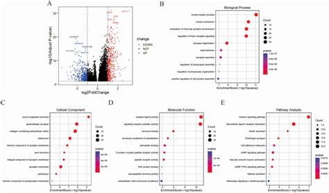 Identification And Validation Of A Novel 17 Coagulation Related Genes