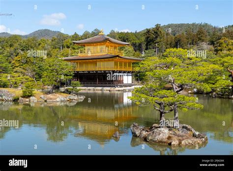 View Of Famous Golden Pavilion At Kinkaku Ji Golden Temple In Kyoto