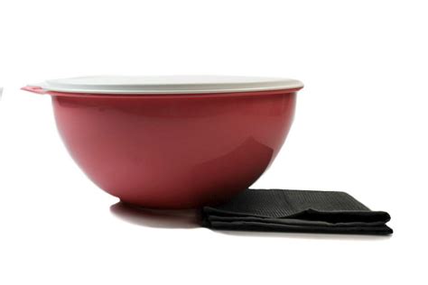 Tupperware Back Set Maximilian 78 L Hellrosa Salatbar Glastuch