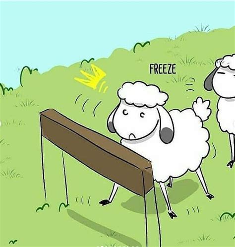 Унтах гээд хонь тоолтол … – ТАС.МН