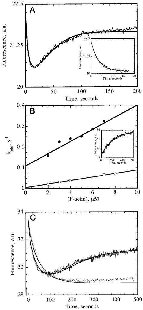 Fluorescence Assay Of The Time Course Of The Interaction Of Unlabeled