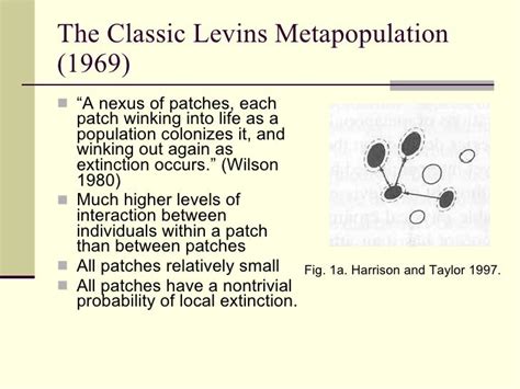 Metapopulations