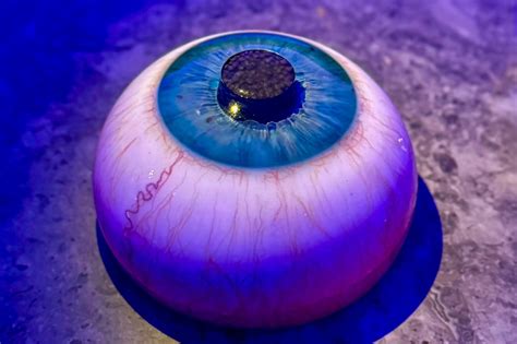 Exclusive 7 Hour 50 Course Experience At Alchemist Copenhagen