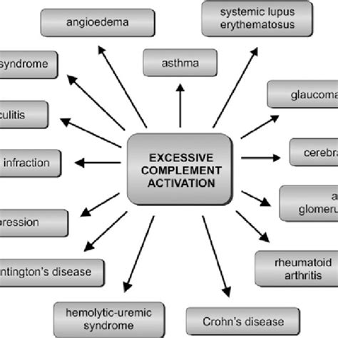 Selected Diseases And Syndromes Associated With Excessive Complement