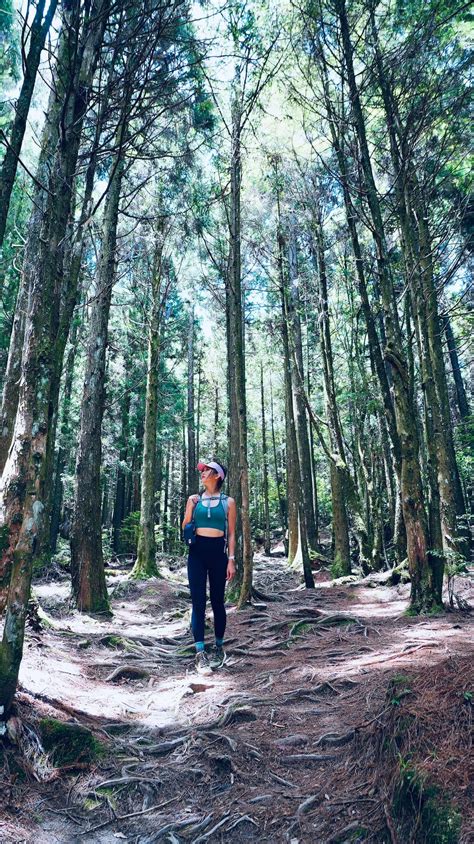 許娸雯 播報雯 休假中☺️ 821 825 非凡電視台 請鎖定 高昱晴 Michelle Kao 播報的