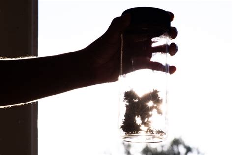 Thcp Vs Thc Whats The Difference Greenstate