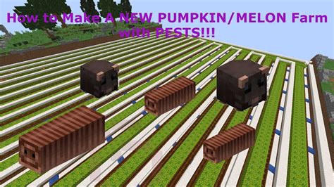 How To Make A Melon Farm In Minecraft Hypixel Skyblock At Cornelia
