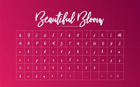 Best Cursive Fonts For Graphic Designers