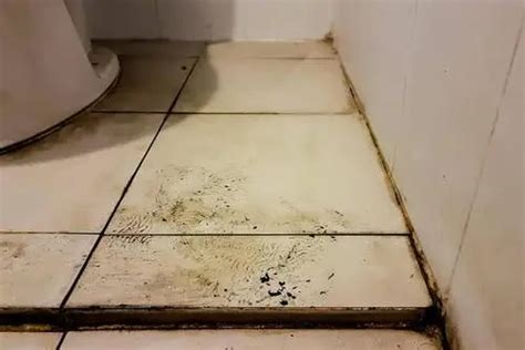 地板砖有污渍怎么清洗