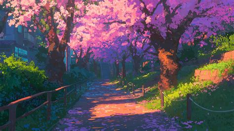 Anime Cherry Blossom Path 4k Desktop Wallpaper Download