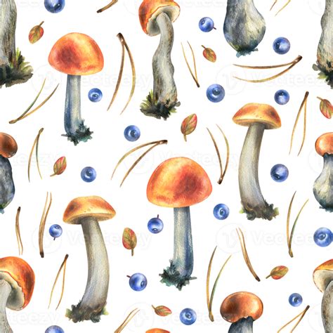 Forest Edible Mushrooms With Orange Caps Boletus Leaves Blueberries