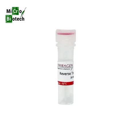 Reverse Transcriptase Transcriptase Inverse La Boutique En Ligne