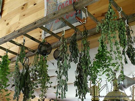 Herb Drying Rack Creative Hanging Garden Design Ideas Old Wooden