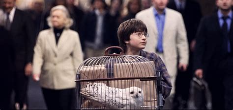 해리포터 시리즈의 첫번째 영화 해리포터와 마법사의 돌 줄거리와 영어 명대사 네이버 블로그