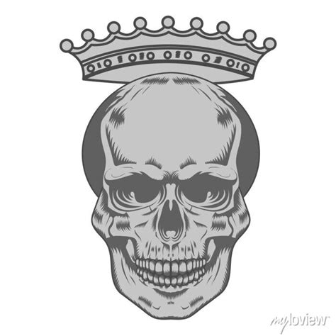 Vector Human Skull Drawing Human Skull Front View Illustration