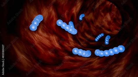 Streptococcus Type A Flesh Eating Bacteria The Spread Of Bacteria In