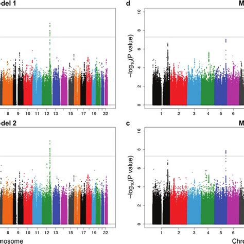 Results Of The Gwas Meta Analysis Download Scientific Diagram
