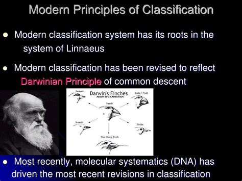 Ppt Classification Taxonomy Powerpoint Presentation Free Download Id 4241080