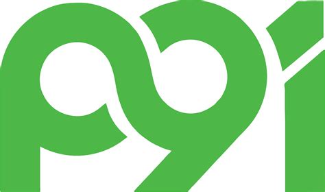 P91 India Premium Automotive And Home Protection