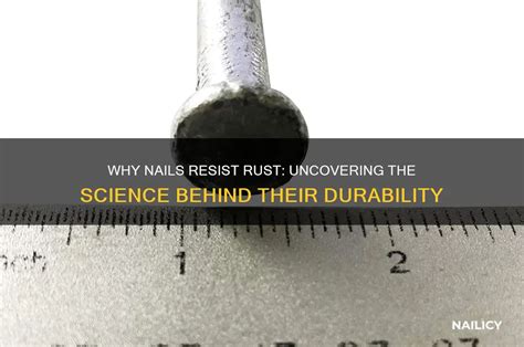 Why Nails Resist Rust Uncovering The Science Behind Their Durability