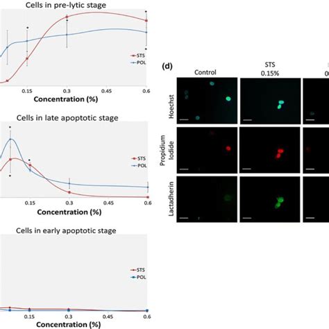 Apoptotic Stages Flow Cytometry Demonstrated The Stages Of Cell Download Scientific Diagram