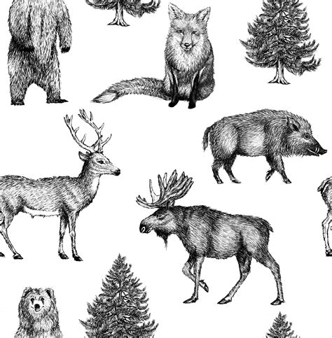 140 Ideeën Over Jongenskamer In 2025 Jongenskamer Kinderkamer