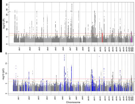 Figure S2 Manhattan Plots Of Association Statistics Log10p Values