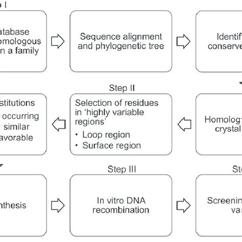 Schematic Representation Of Protein Consensus Based Surface Engineering