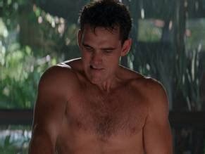 MATT DILLON Nude AZNude Men MATT DILLON Nude AZNude Men