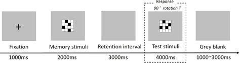 The Relationship Between Different Exercise Modes And Visuospatial