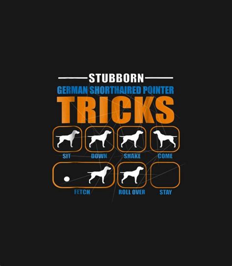 Funny Stubborn German Shorthaired Pointer Tricks D Png Download Files