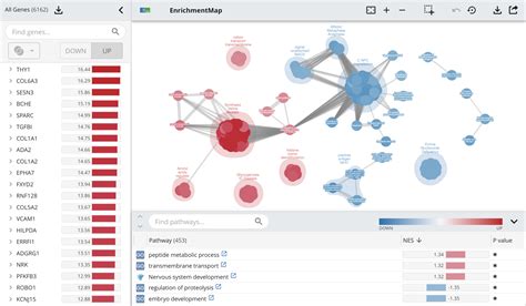 enrichmentmap rna seq