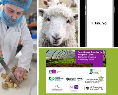 Gwych Gweld Y Prosiectau Yma Yn Cael Iw Cefnogi Fantastic To See These Hedd Vaughan Evans